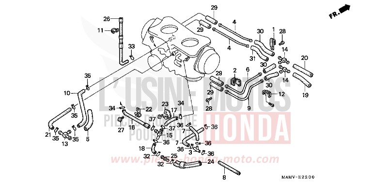 TUBULURE de Goldwing CANDY SPECTRA RED (R176K) de 2000