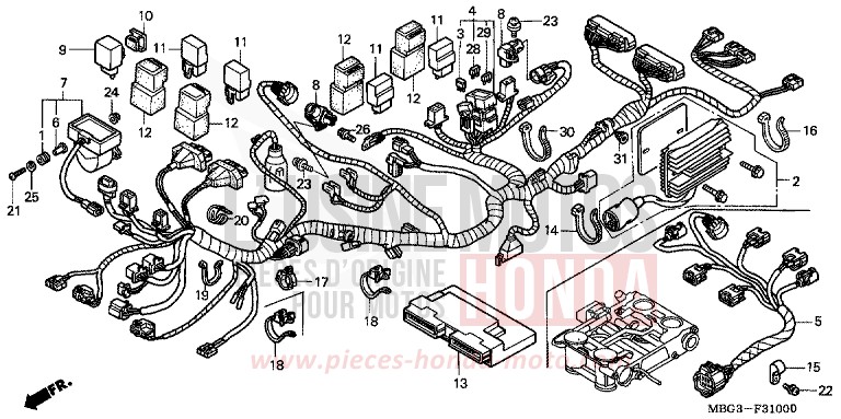 FAISCEAU DES FILS de VFR800F ITALIAN RED (R157) de 1999